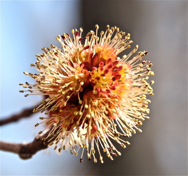 How to patch the holes in ye olde family recipe refrigerated-section ...